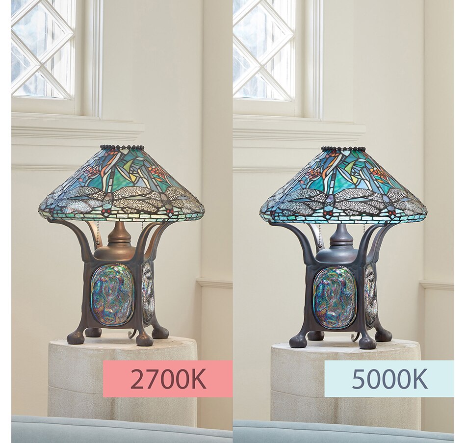 Tiffany Style Dragonfly Turtleback Base Table Lamp - TSC.ca