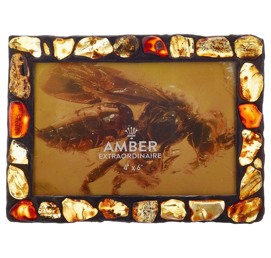 Amber Extraordinaire Artisan Collection Baltic Amber Picture Frame - TSC.ca