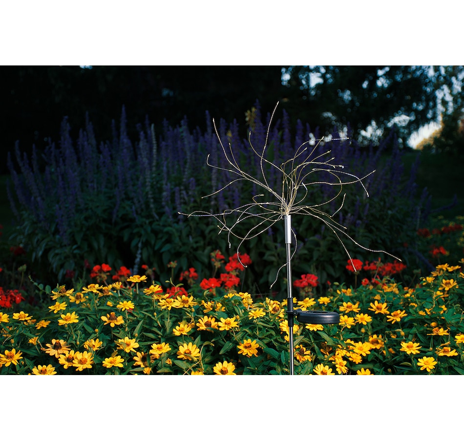 Fusion Solar Starburst Garden Stick Lights - TSC.ca