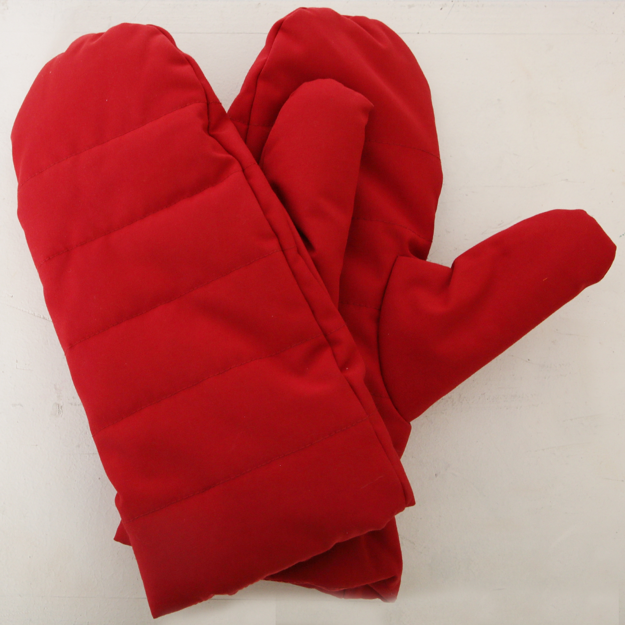 Arctic Expedition Ladies Quilted Mittens - TSC.ca