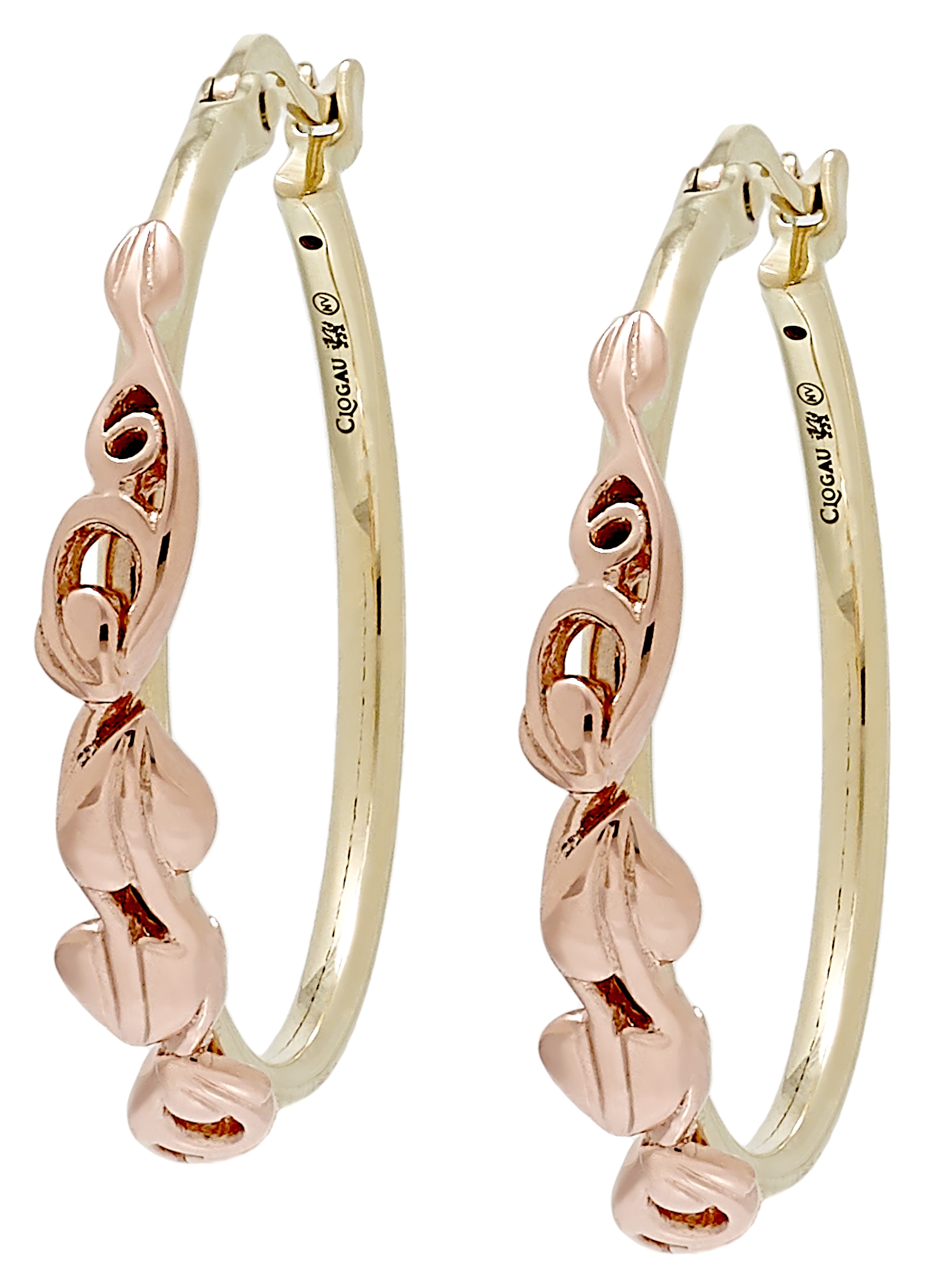 Clogau Gold Tree Of Life Earrings 2024 www.epicamlv