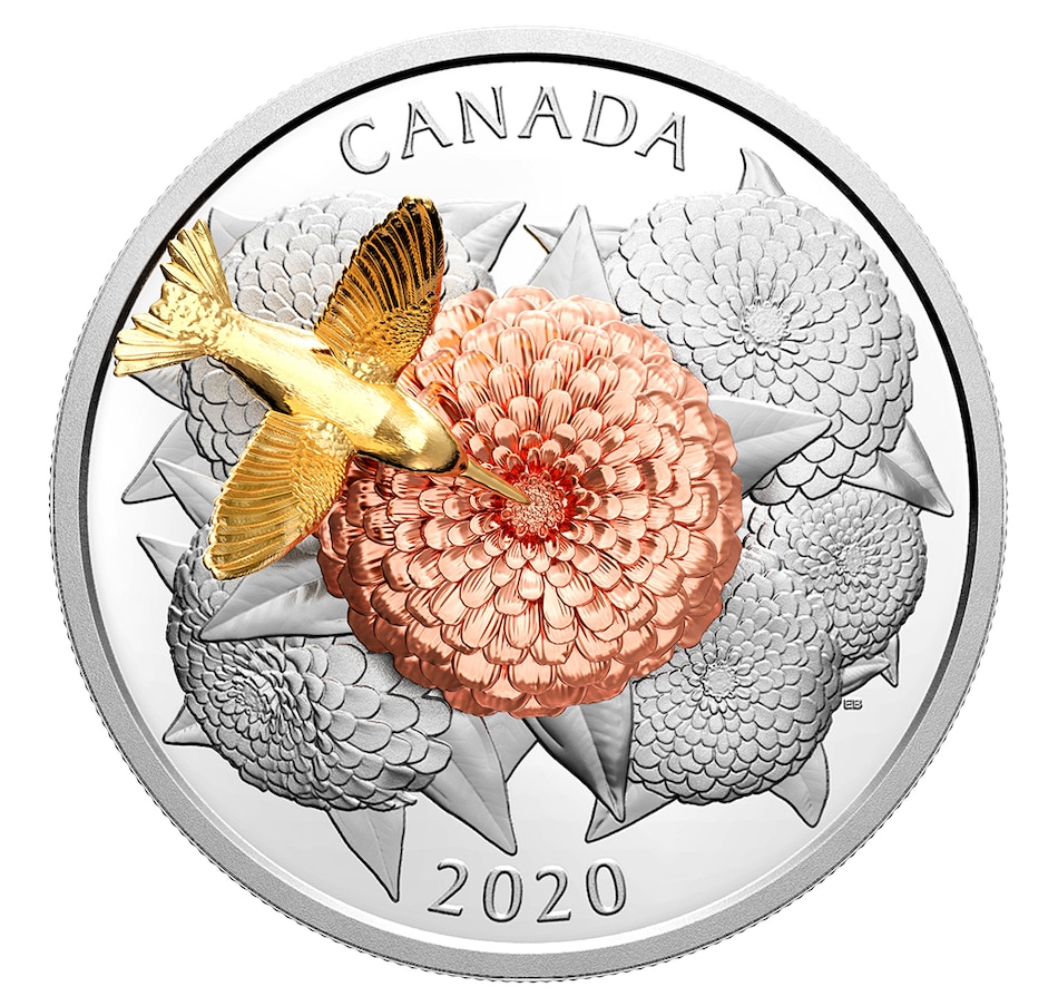 2020 $50 Fine Silver Coin The Hummingbird and the Bloom - TSC.ca
