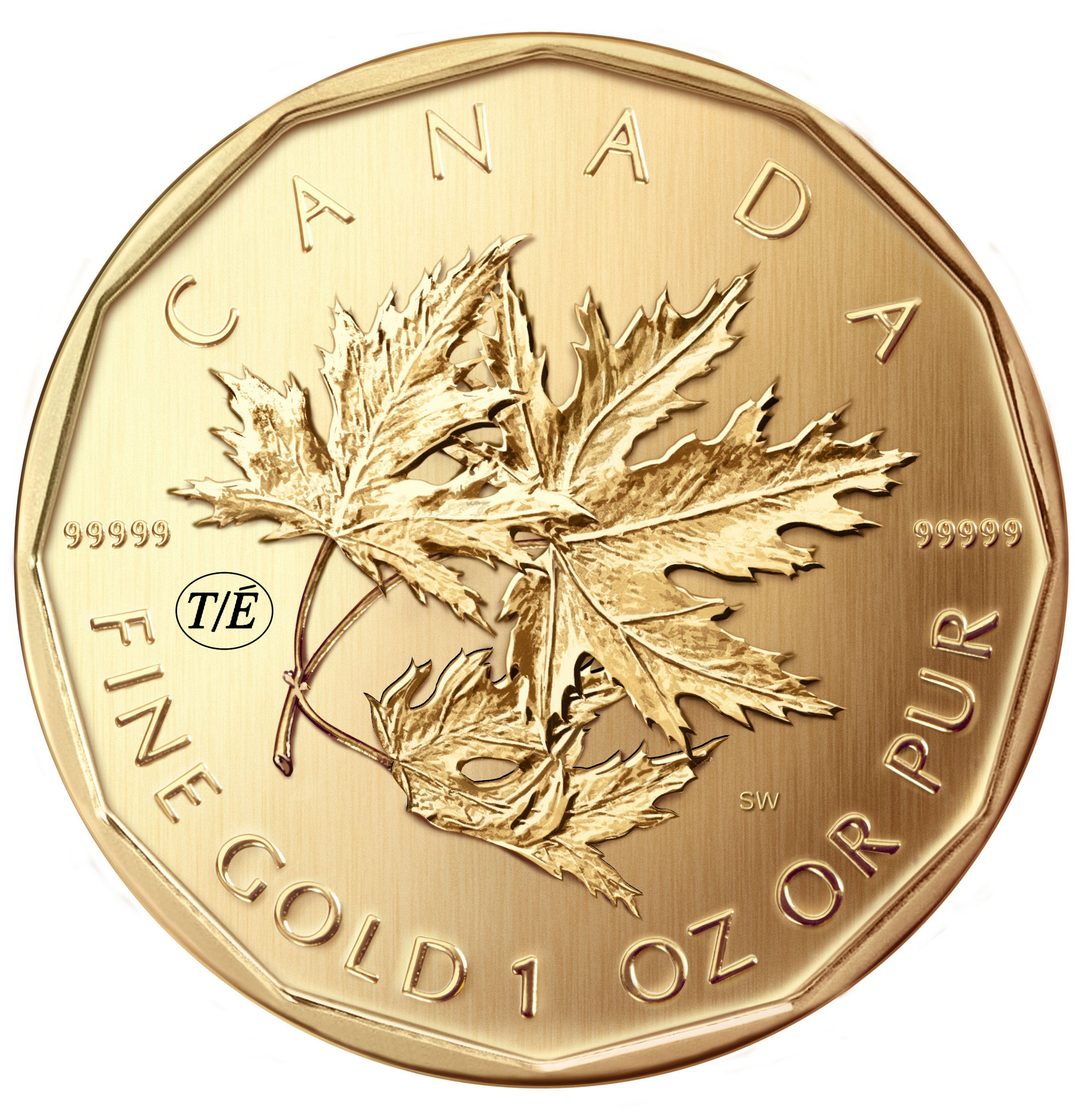 Coins Canadian Mint Products 200 Pure Gold Coin Maple Leaf Test Coins Canadian Mint Products 200 Pure Gold Coin Maple Leaf Test