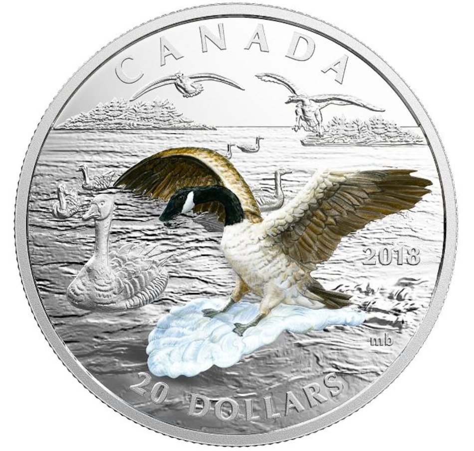 2018 $20 Approaching Canada Goose Fine Silver Coin - TSC.ca