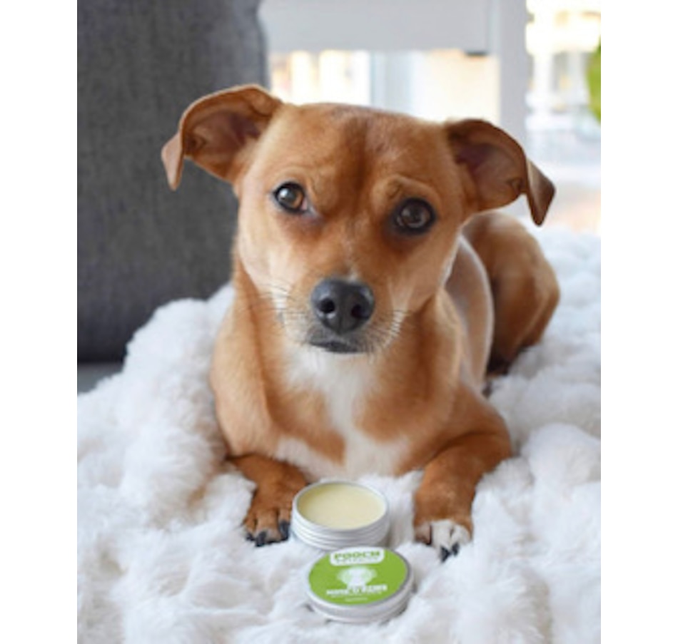 Home & Garden - Pet Boutique - Dogs - Grooming - Pooch Botanics Organic ...