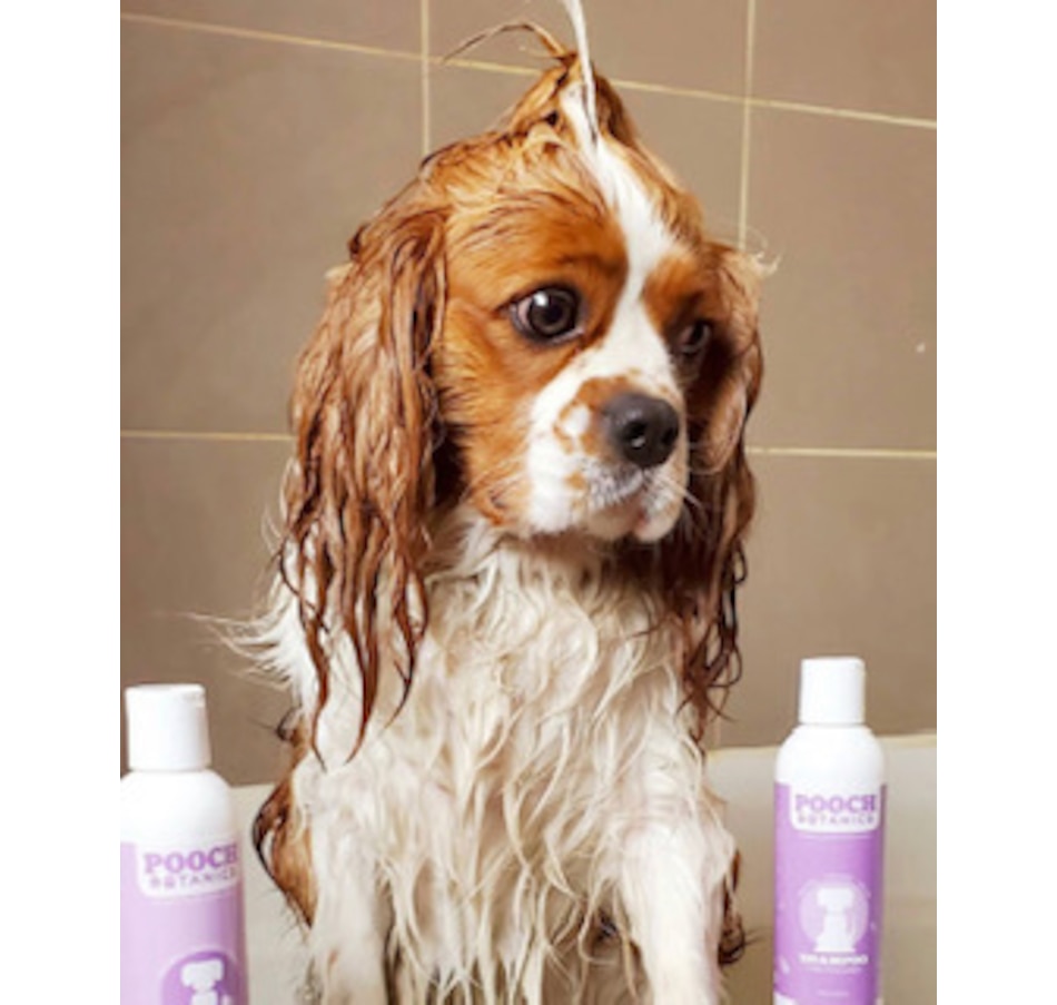 Home & Garden - Pet Boutique - Dogs - Grooming - Pooch Botanics Love ...