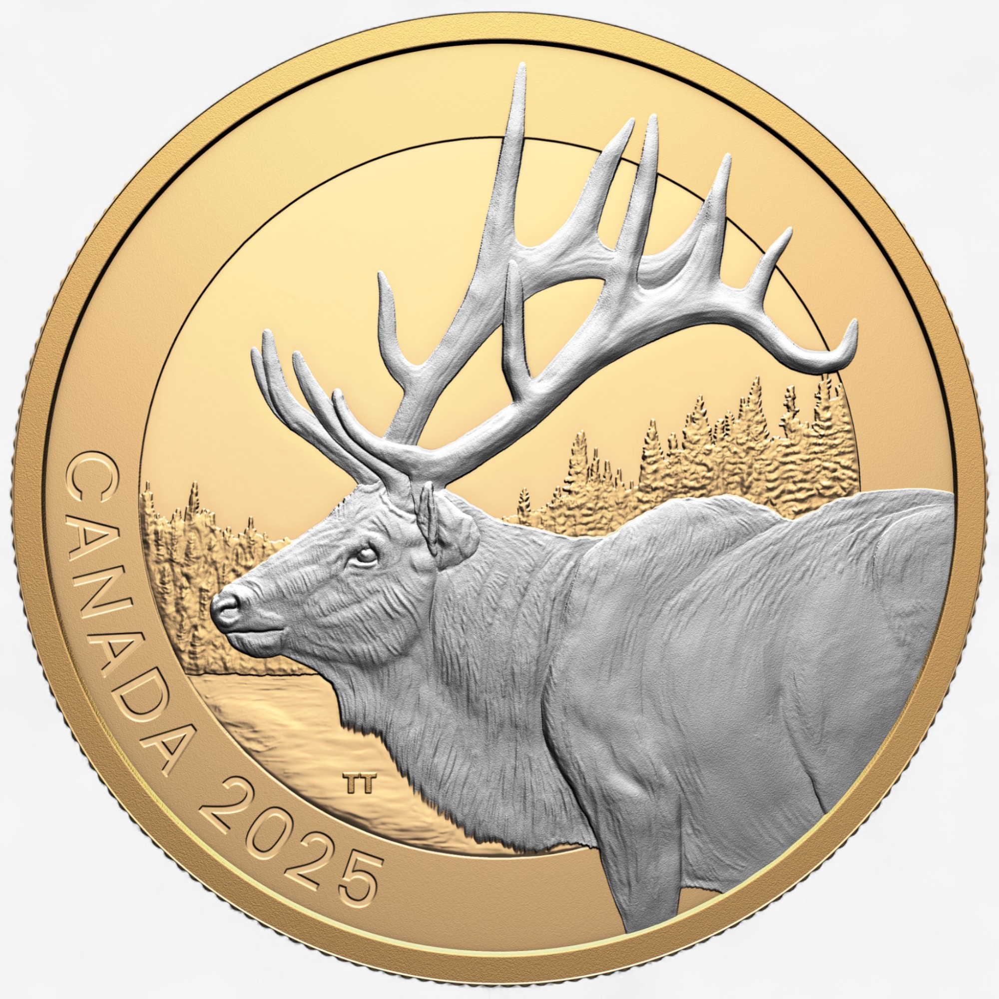 2025 $20 Animal Portraits: Elk One-Ounce Fine Silver Coin - TSC.ca