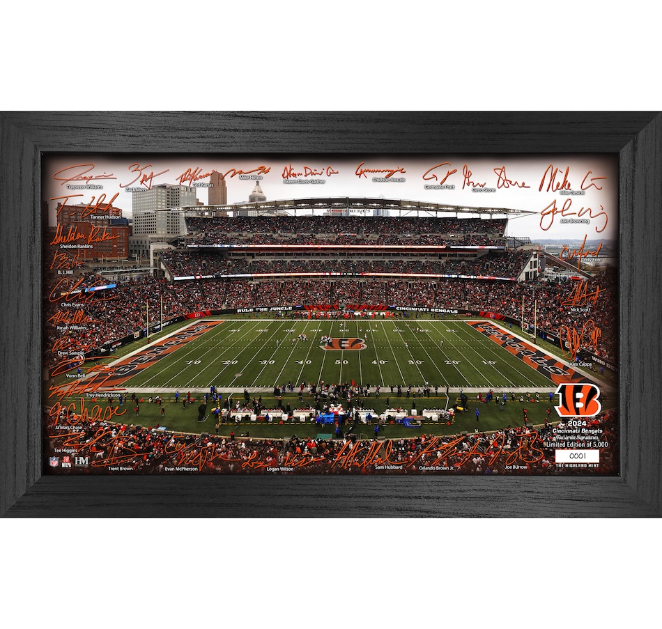 Sports - Sports Memorabilia - Prints & Frames - Cincinnati Bengals 2024 ...