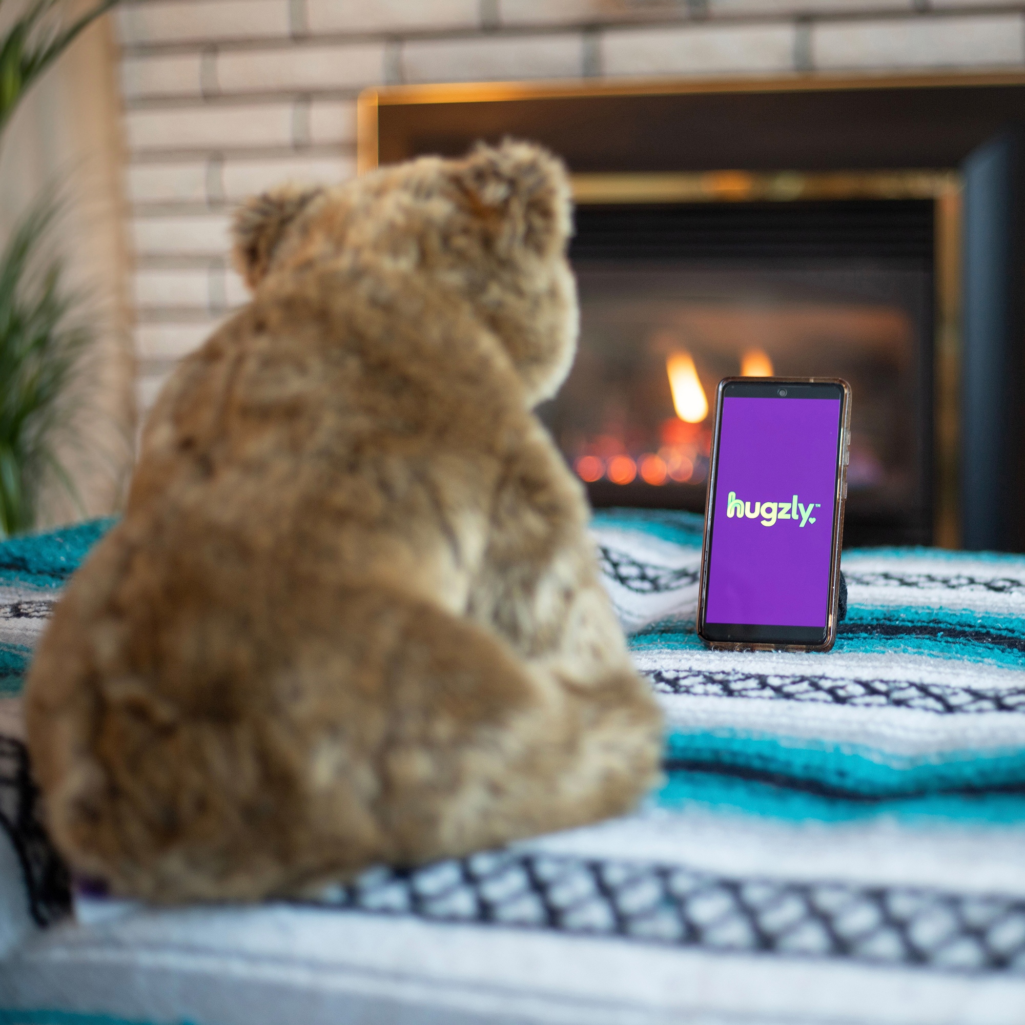 Hugzly Kodi the Grizzly Bear - TSC.ca