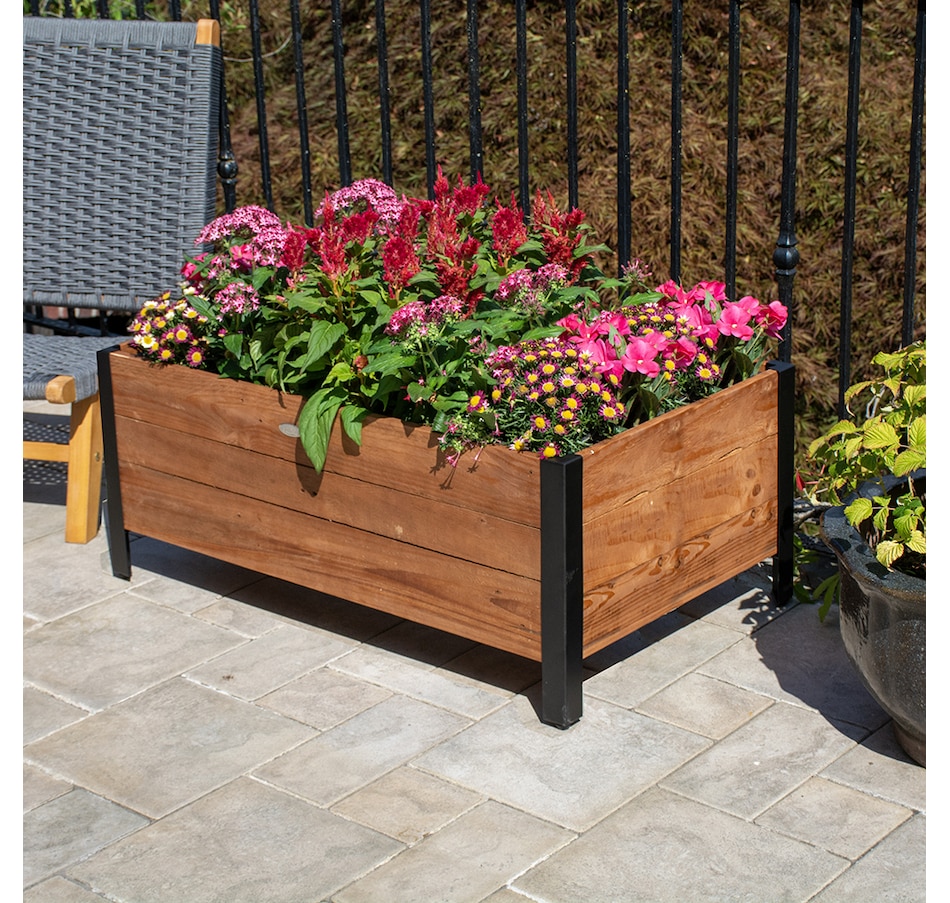 Grapevine Urban Garden Low-Profile Planter (FSC recycled wood and metal ...