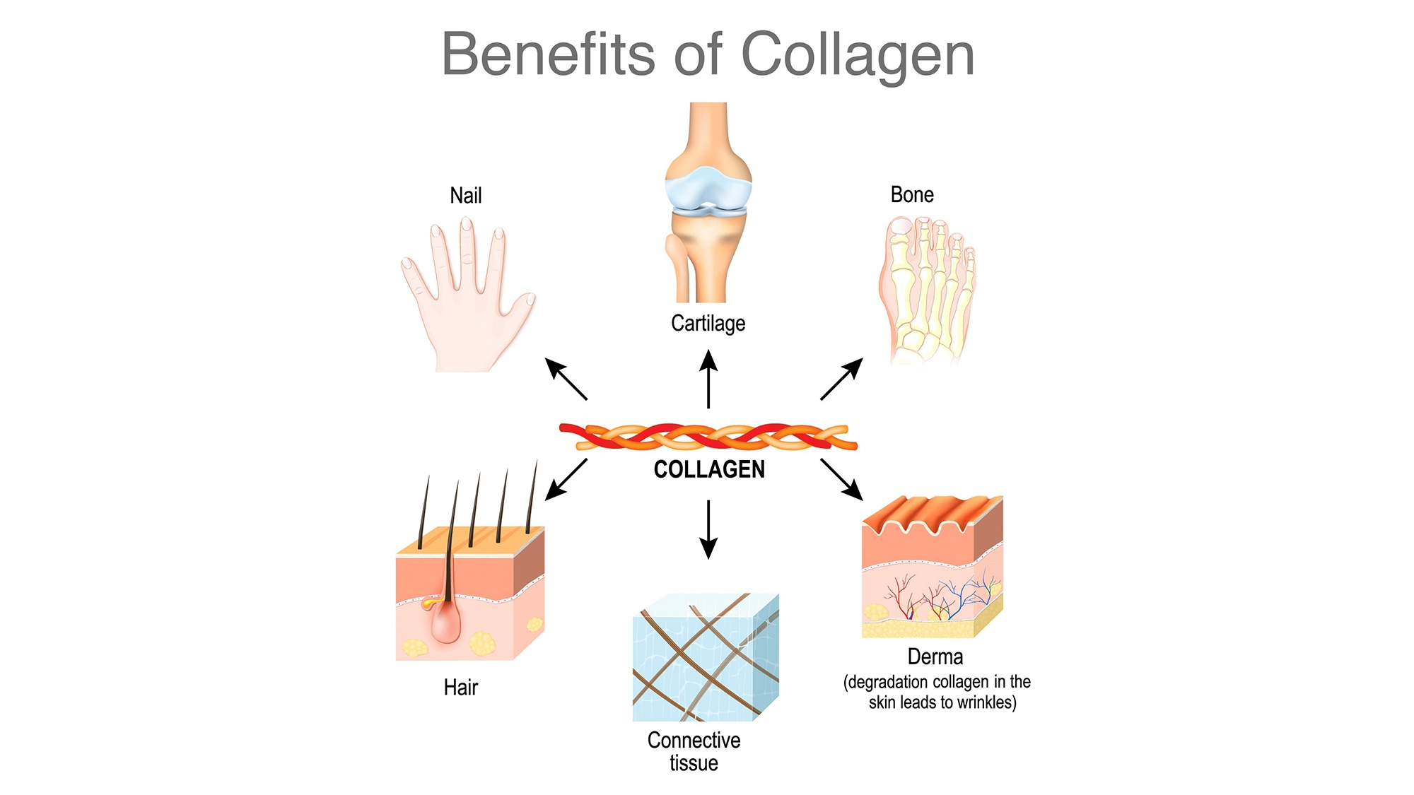 VitaTree Care Collagen Powder Unflavoured 2 Pouches - TSC.ca