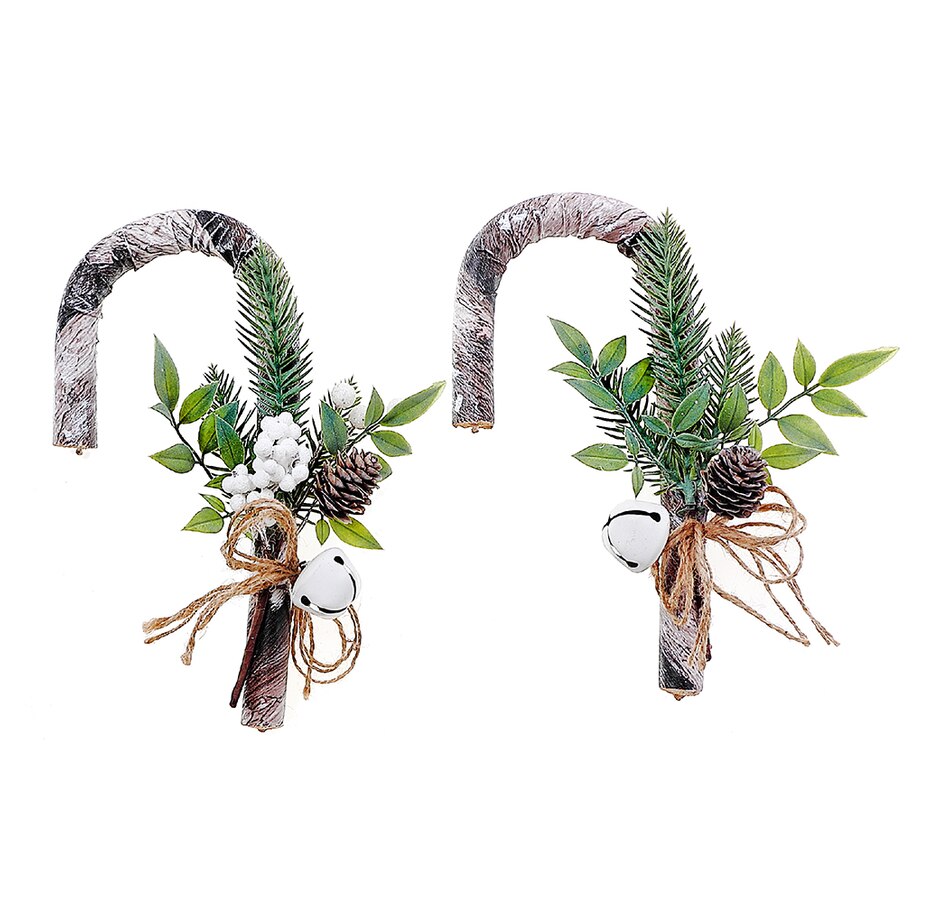 Christmas Bark Cane Holiday Pick (Set of 4) - TSC.ca