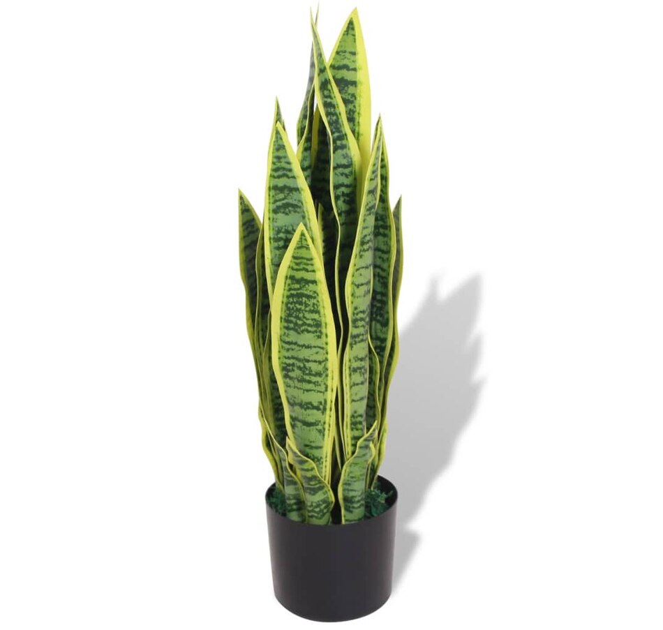 Home & Garden - Outdoor Living - Garden Necessities - Plant Care ...