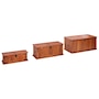 Storage chests 3 pcs Solid acacia wood - TSC.ca