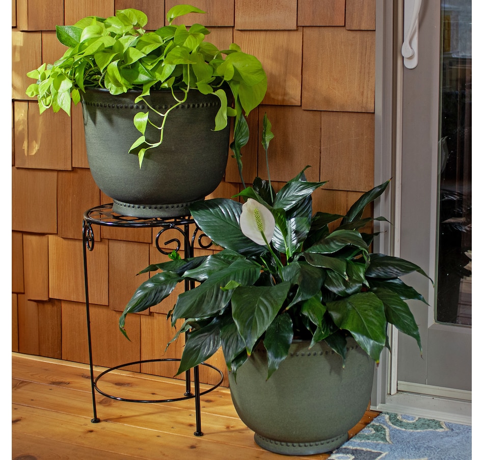 Home & Garden - Outdoor Living - Garden Necessities - Plant Care ...